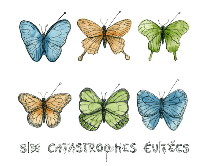 L'effet papillon - Vlou - Illustration